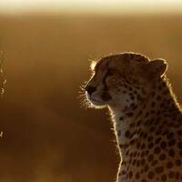 Turan Protected Area | Visit iran