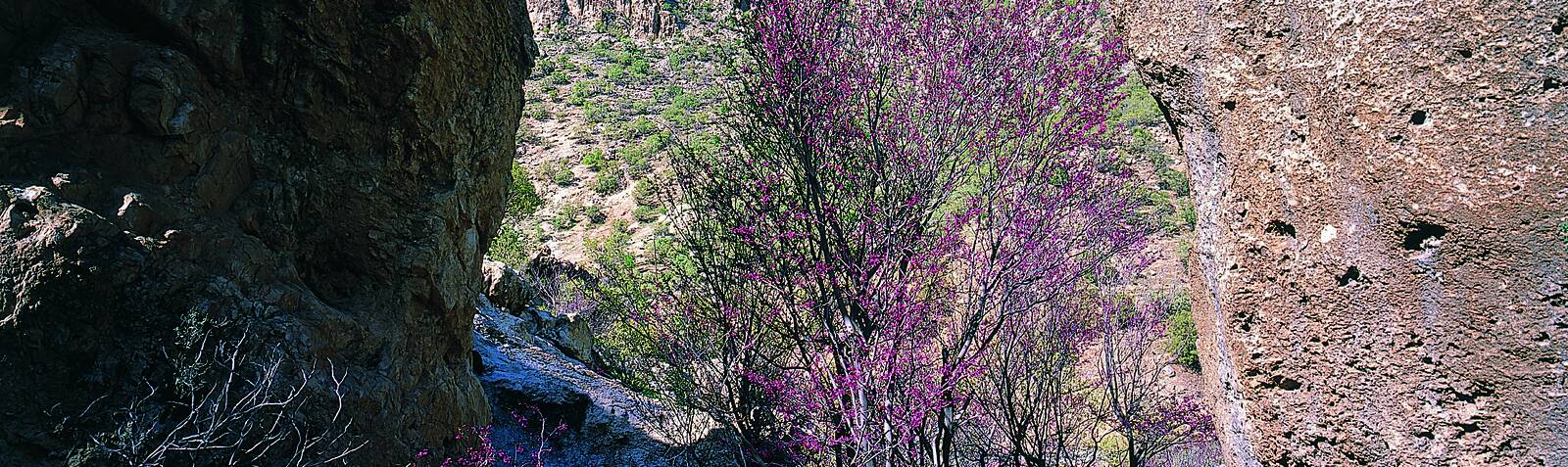 Arghavan Valley | Visit iran