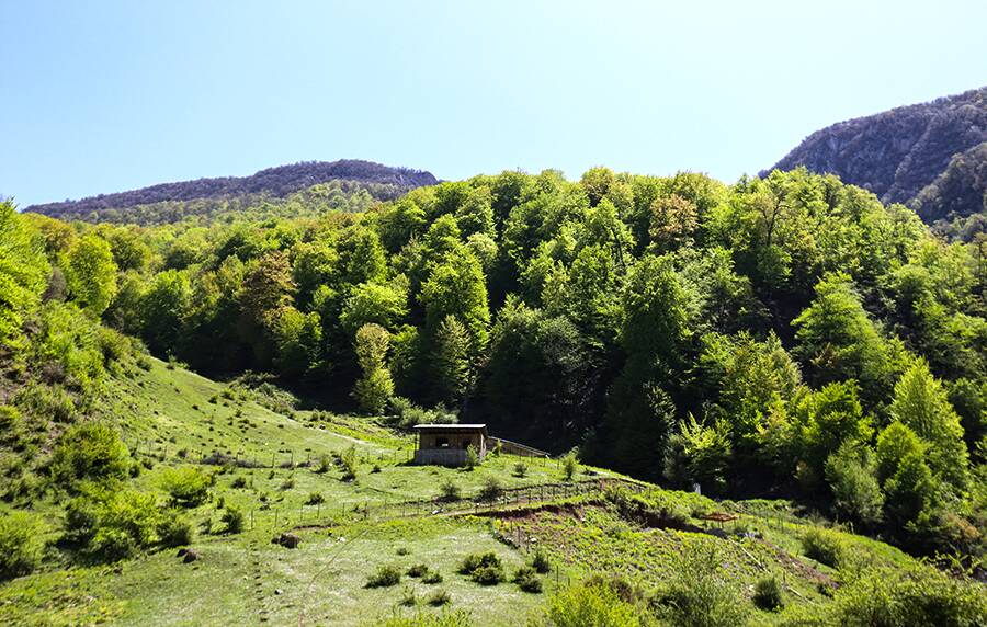 Ziarat Village | Visit iran