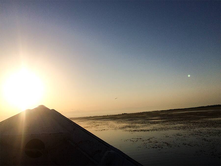 Anzali Lagoon | Visit iran