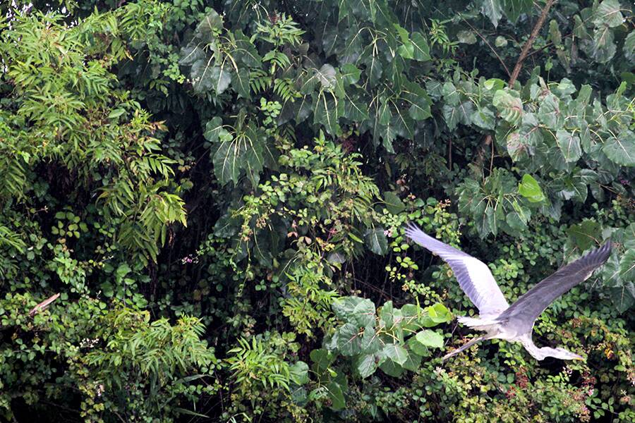Anzali Lagoon | Visit iran