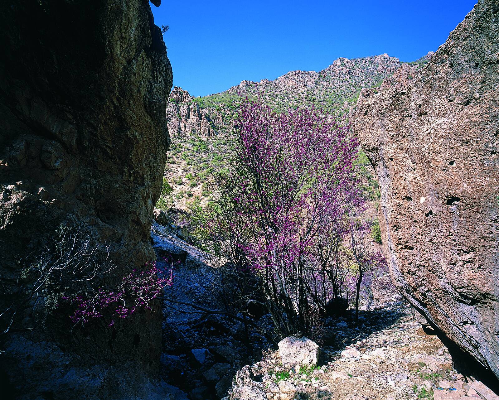 Arghavan Valley | Visit iran