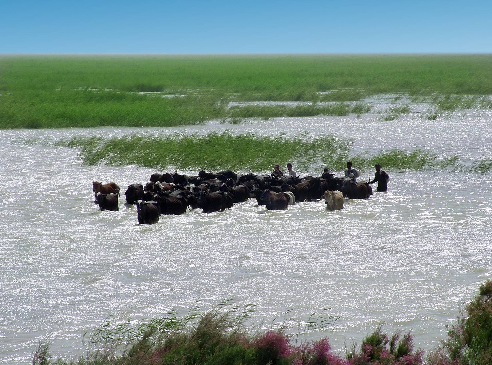 Hamoun Lake | Visit iran