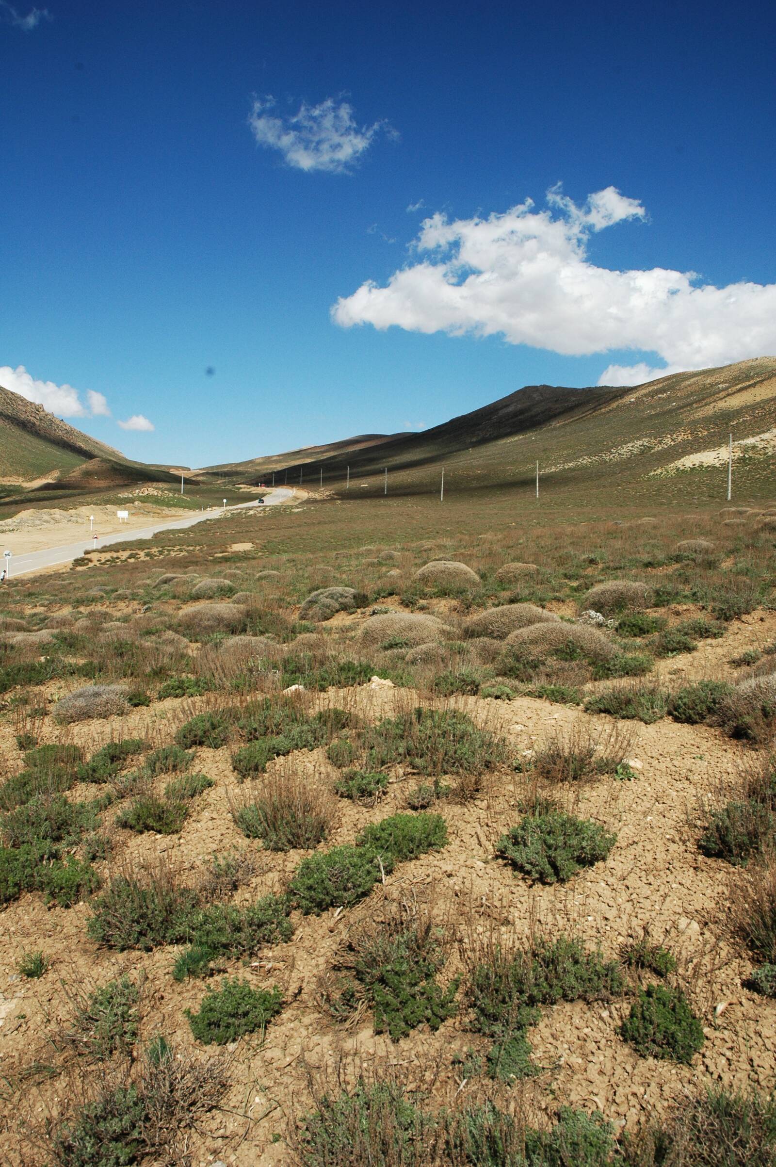 Parvar Protected Area | Visit iran